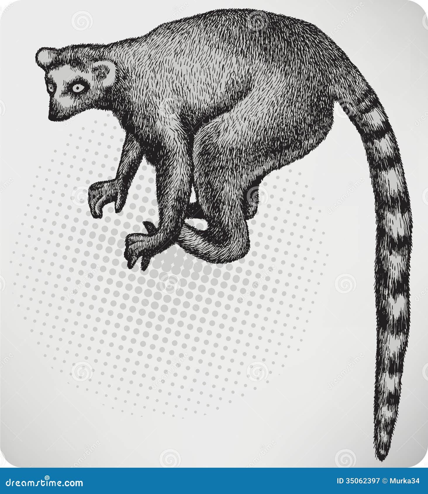 Animal Lemur, Hand-drawing. Vector Illustration. Stock Vector ...