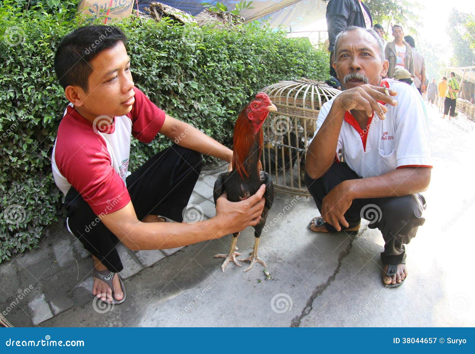 Animal market editorial photography. Image of sukoharjo - 38044657