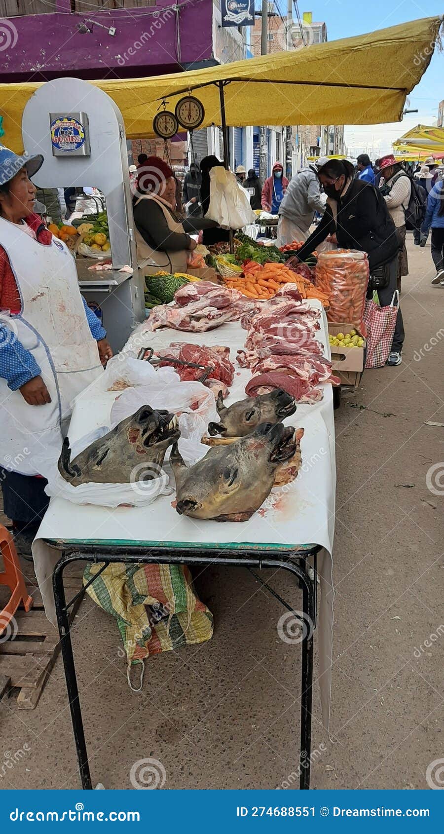 Animal meat in Peru market editorial photo. Image of horsemeat - 274688551