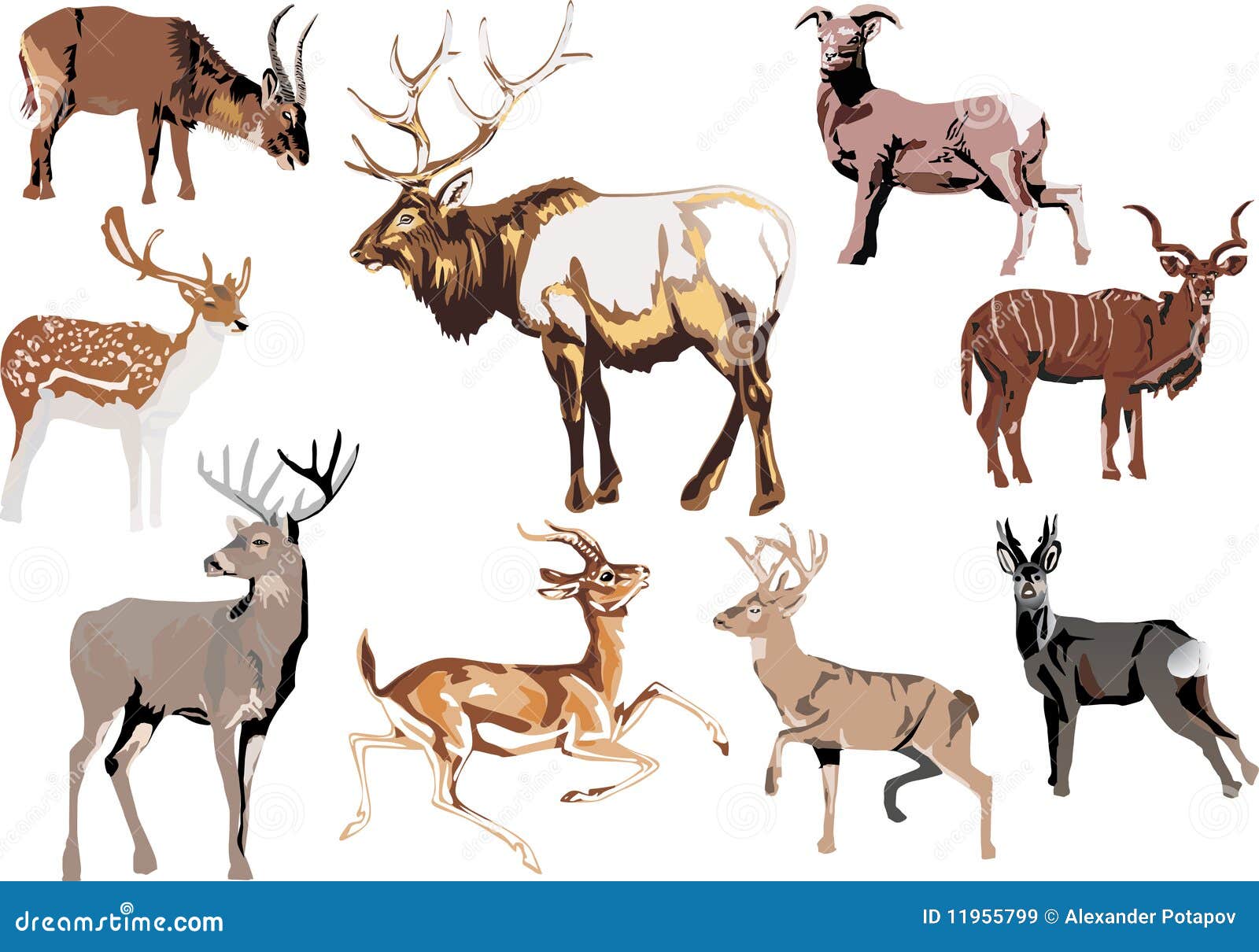 Animal neuf à cornes illustration de vecteur. Illustration du noir ...