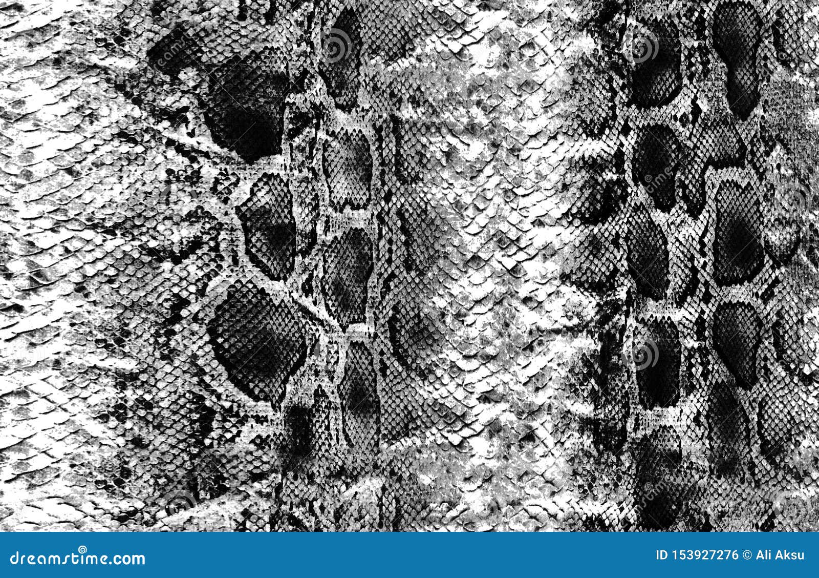 Animal Snake Skin Surface Pattern Stock Illustration - Illustration of ...