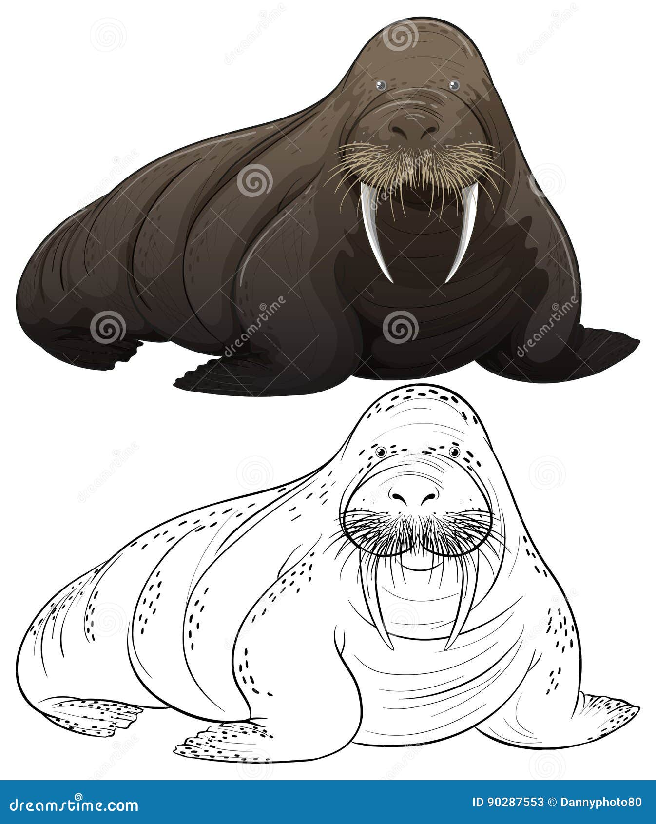 Doodle Animal Walrus Stock Illustrations – 365 Doodle Animal Walrus ...