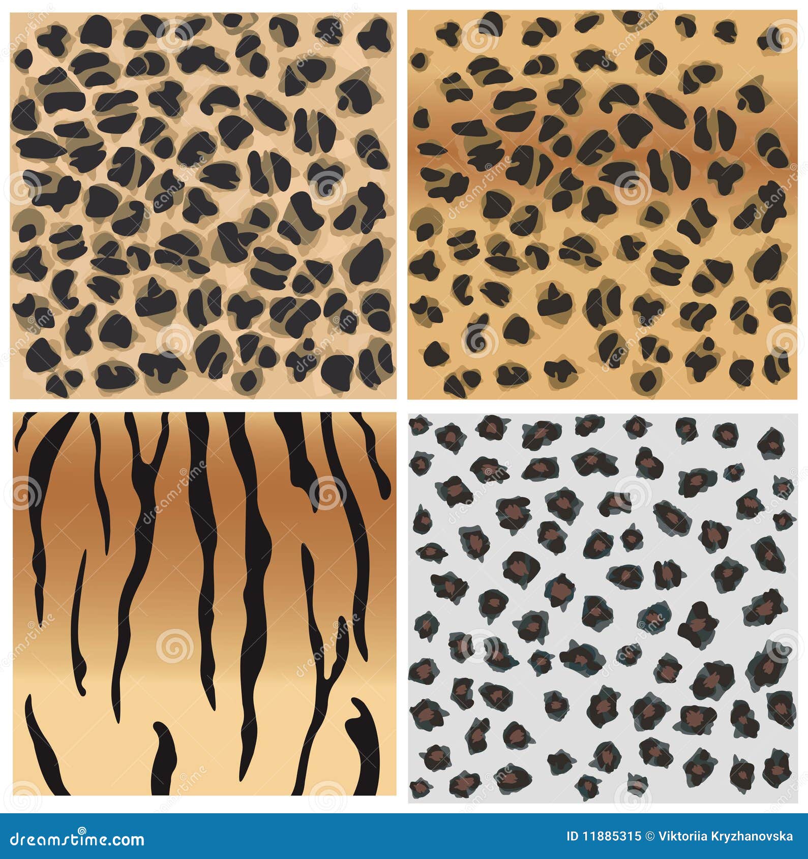 Animal Patterns of Tiger and Leopard. Stock Vector - Illustration of ...