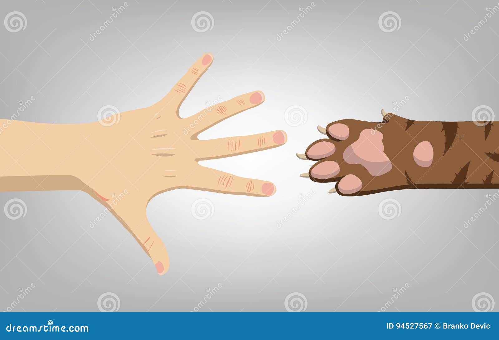 Animal paw and human hand stock vector. Illustration of lend - 94527567