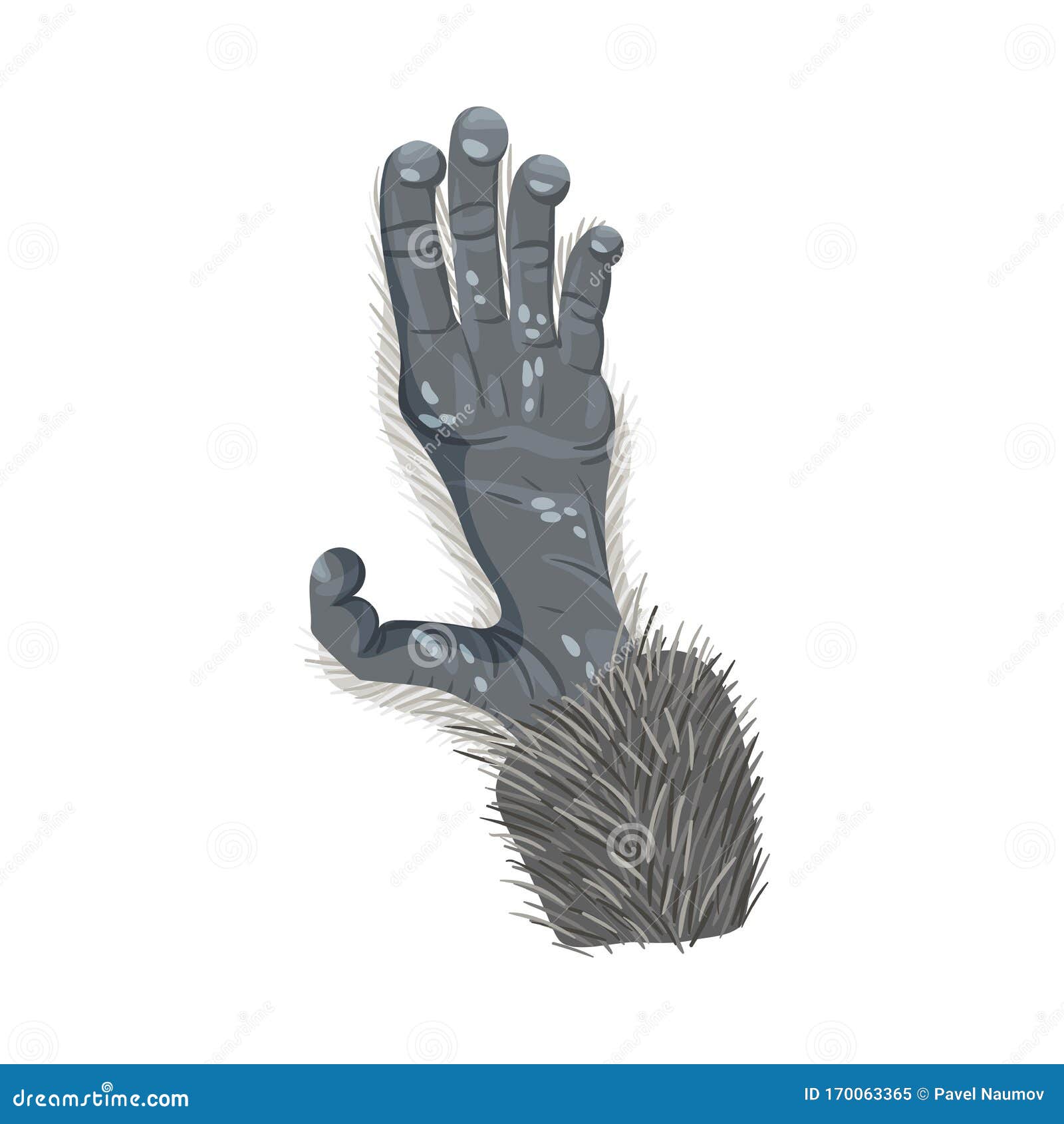 Animal Paw Isolated on White Background Vector Element. Pad with Sharp ...