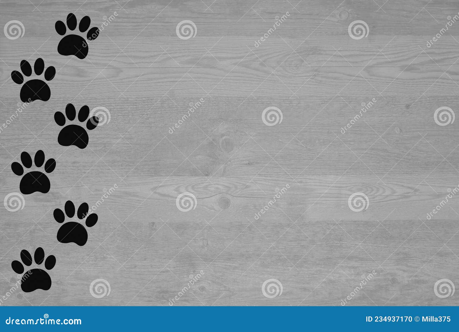 Animal Pet Paw Prints Footpath on a Wooden Texture Background Frame ...