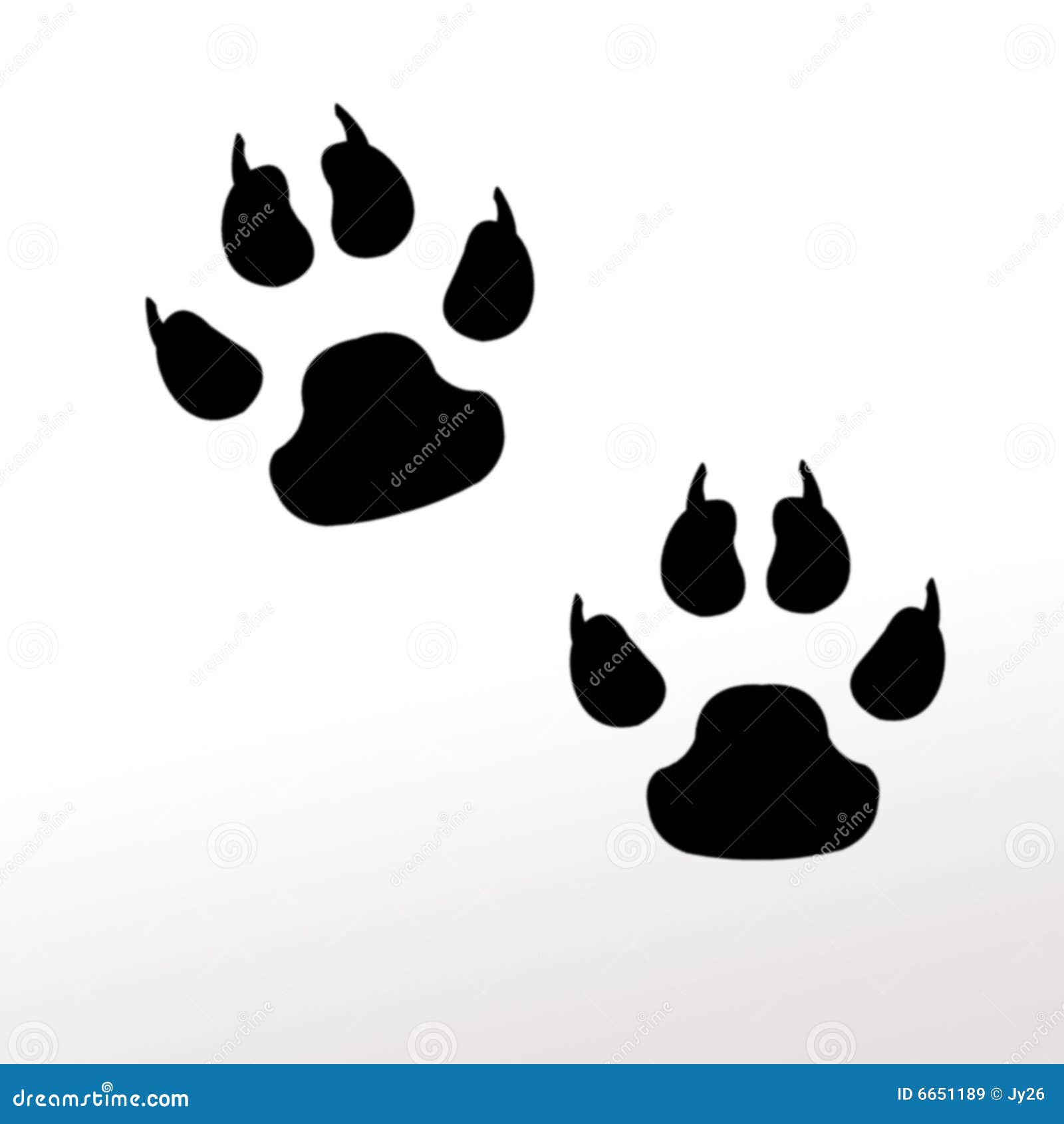 Animal paws stock illustration. Illustration of claw, animals - 6651189