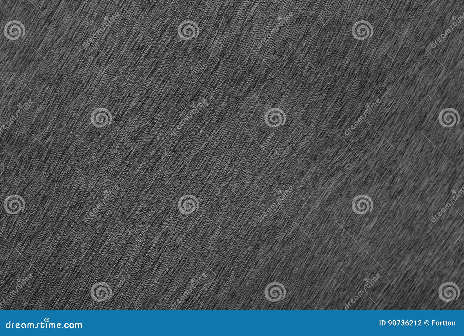 Animal pony skin close-up stock photo. Image of rural - 90736212