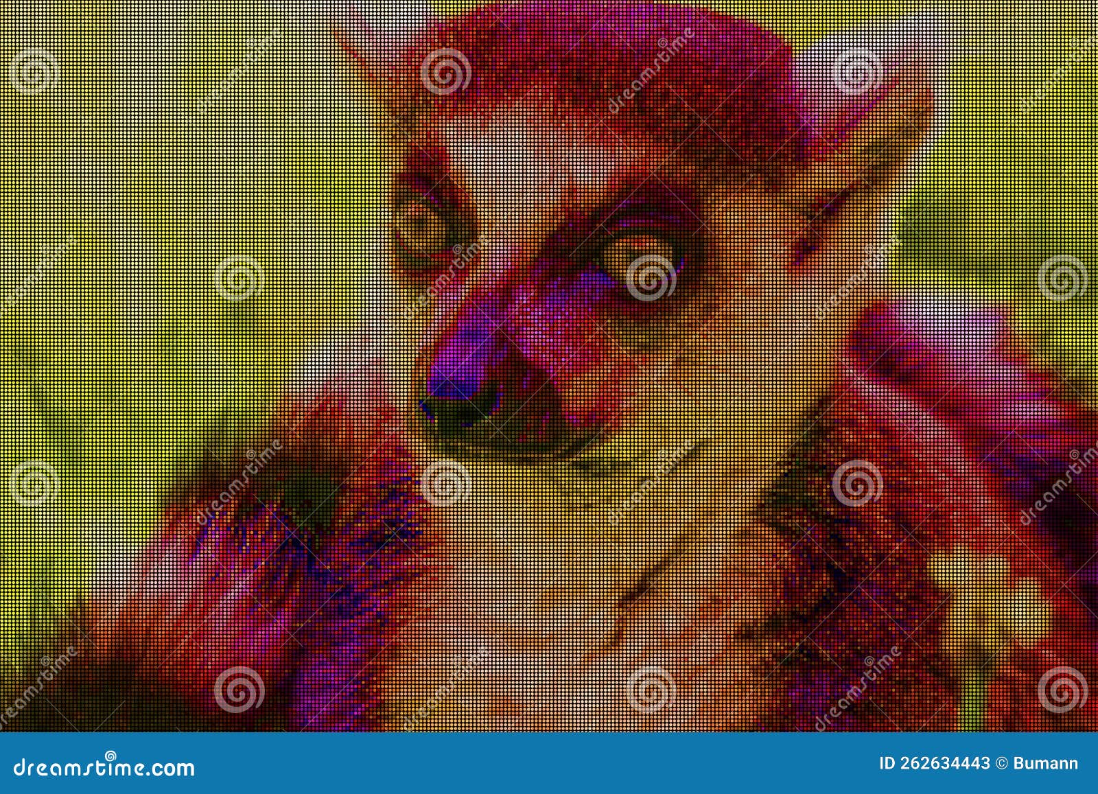 Animal Portrait of a Lemur, Ring-tailed Lemur Lemur Catta, Image As ...