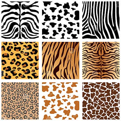 Animal Print stock vector. Illustration of color, fashion - 18703674