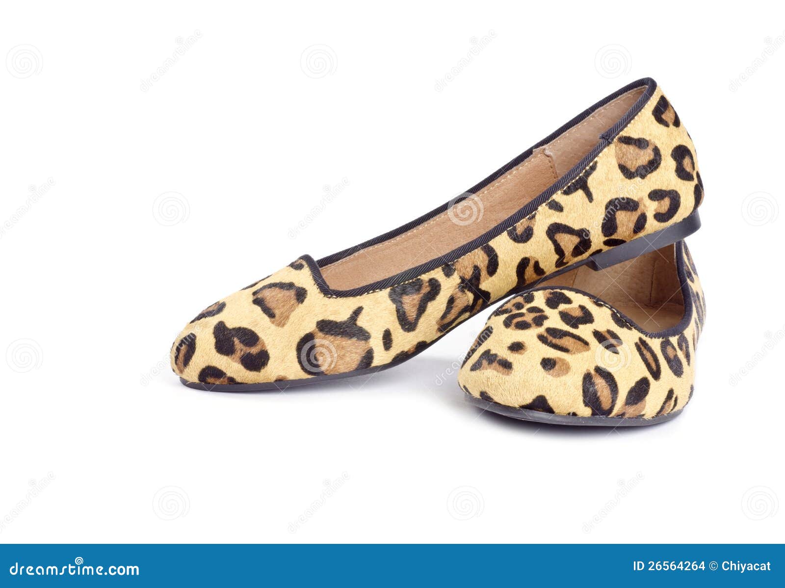 Animal Print Shoes Series #4 Stock Photo - Image of footwear, shoes ...