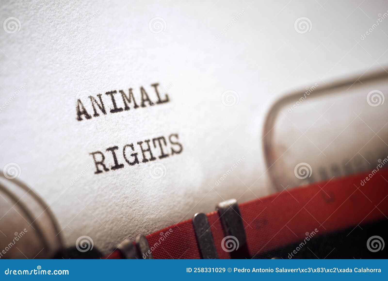 Animal rights concept stock image. Image of animal, abuse - 258331029