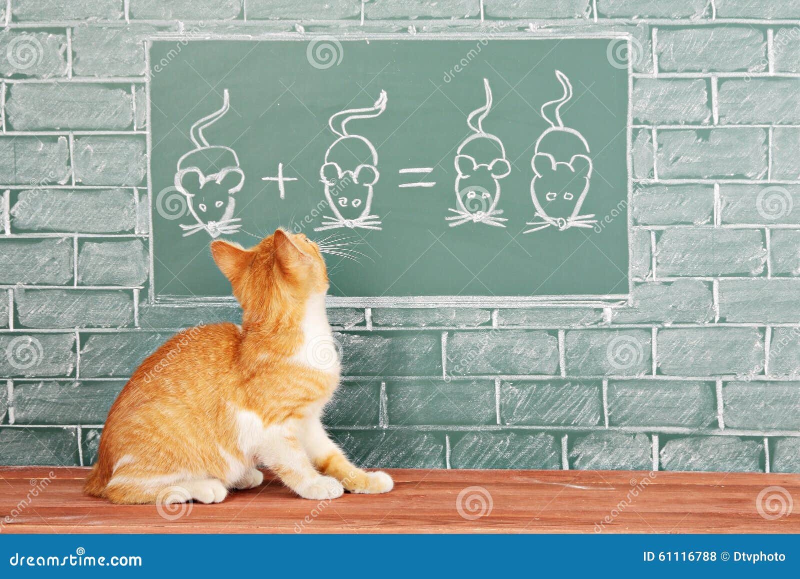 Animal school stock photo. Image of knowledge, brick - 61116788