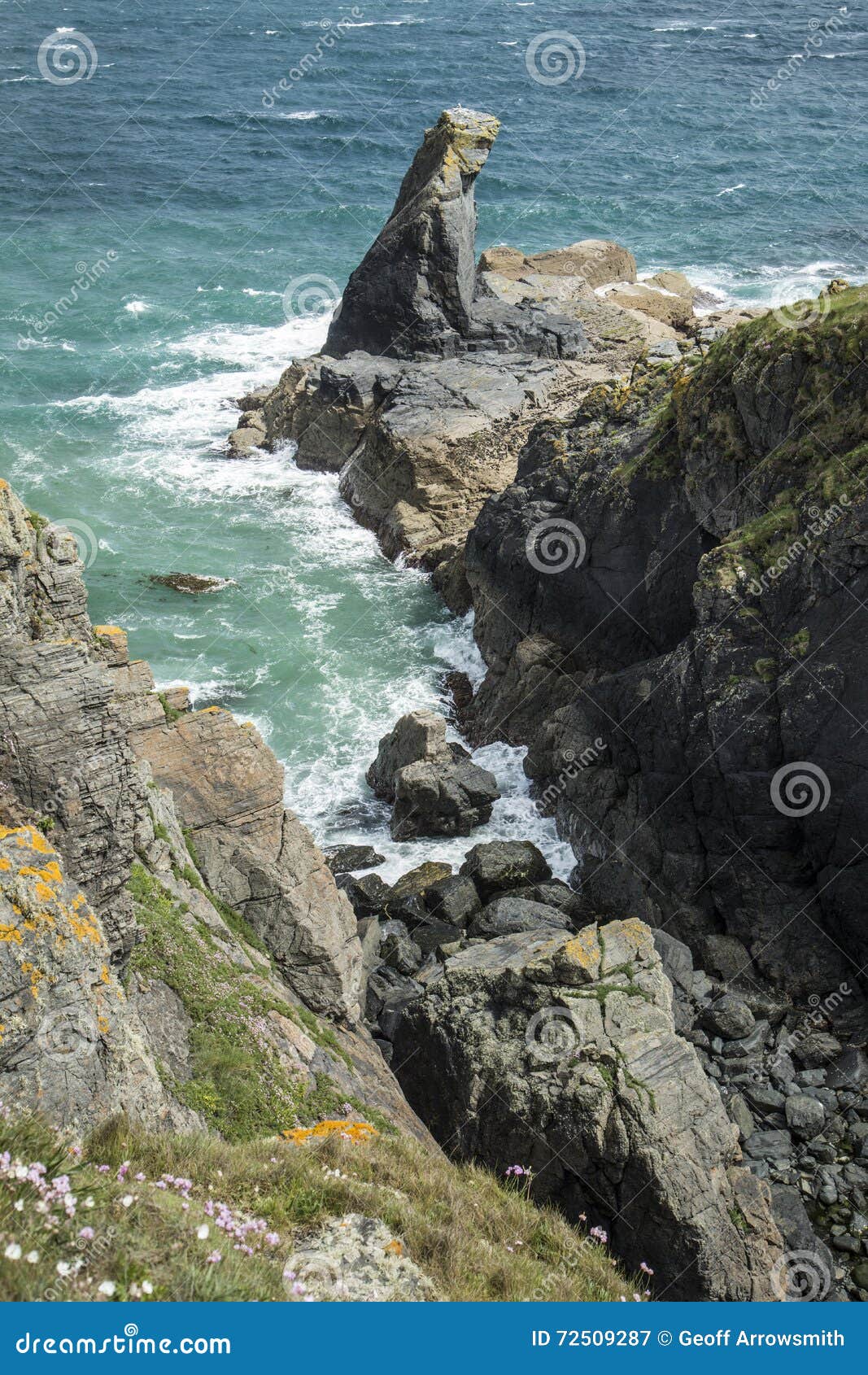 Animal Shaped Rock at Lizard Point in Cornwall Stock Image - Image of ...