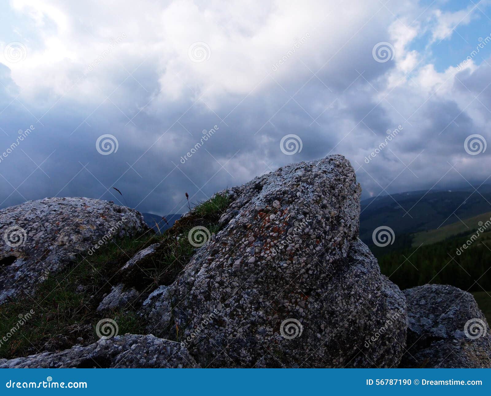 An Animal-shaped Rock Under the Dark Sky Stock Photo - Image of plant ...