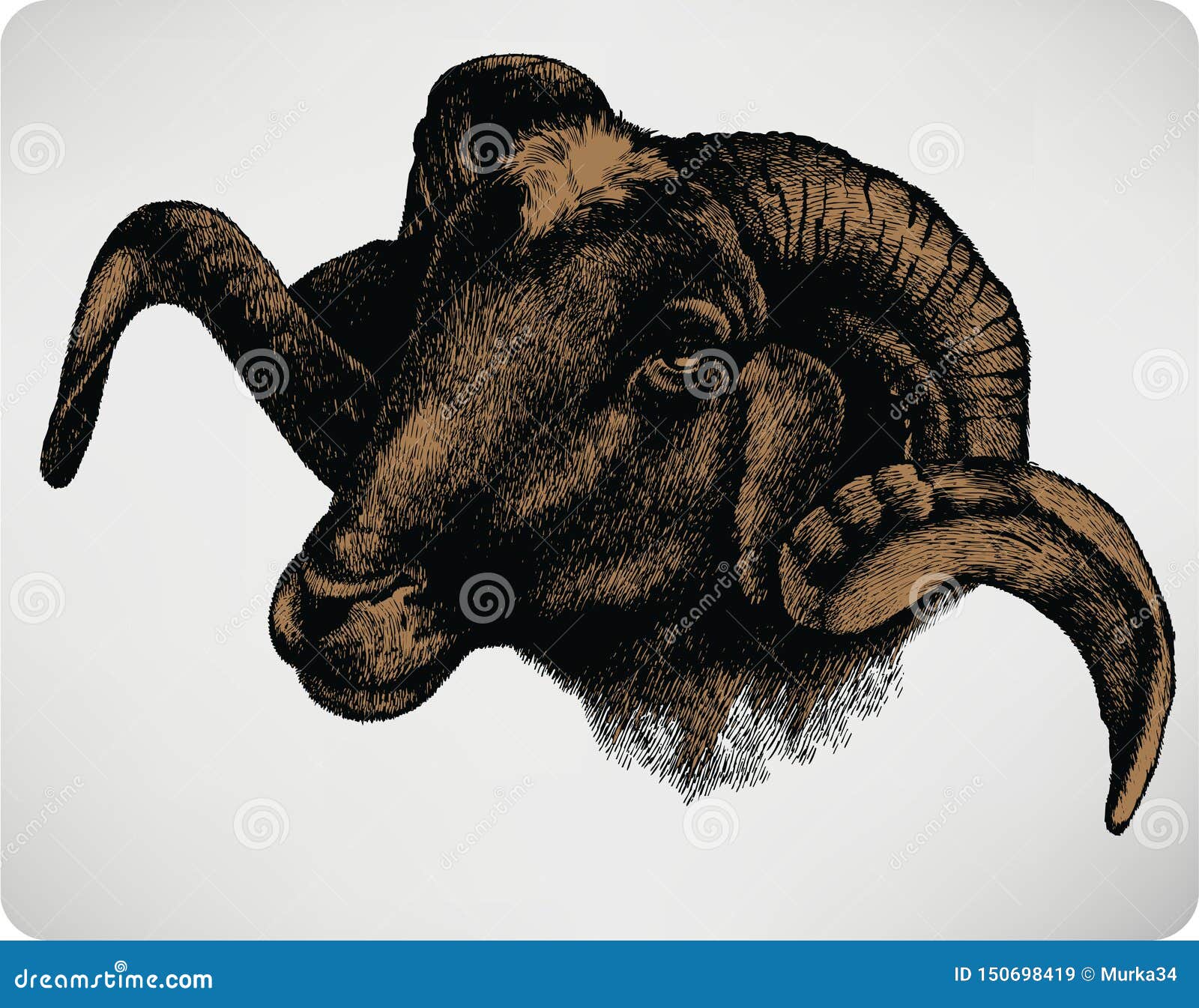 Animal Sheep, Hand-drawing. Vector Illustration Stock Vector ...