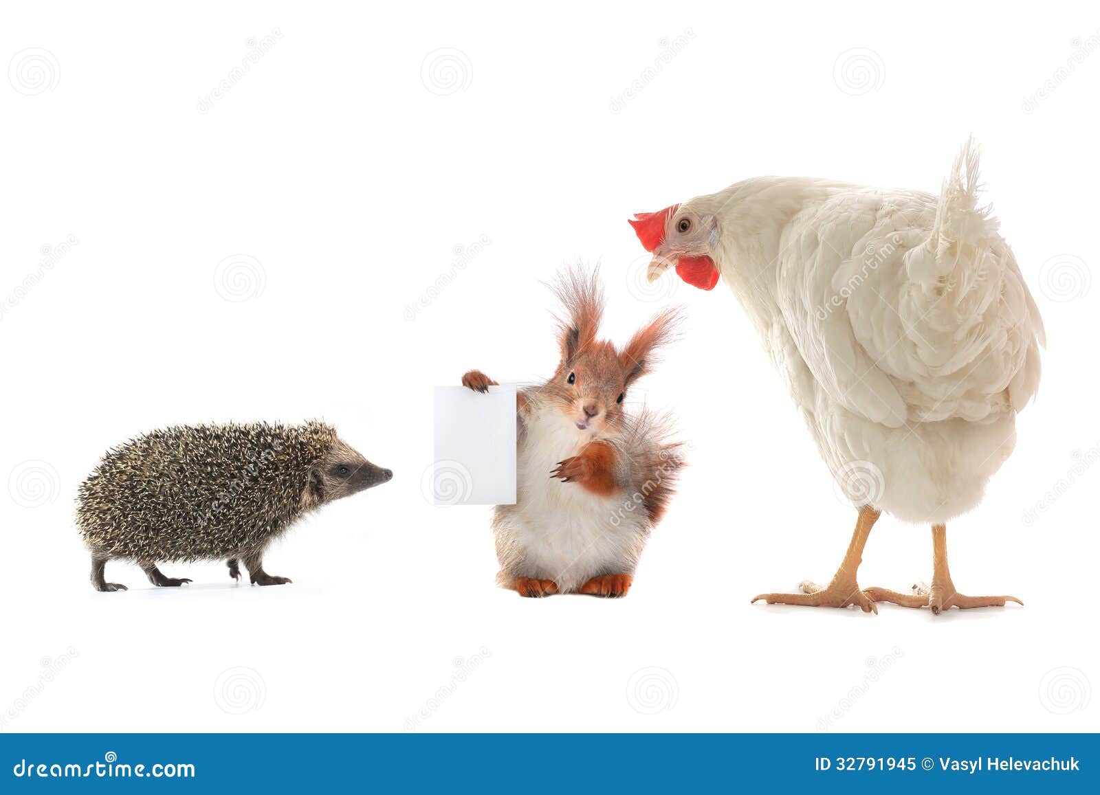 Animal, stock image. Image of menu, theme, happy, friendly - 32791945