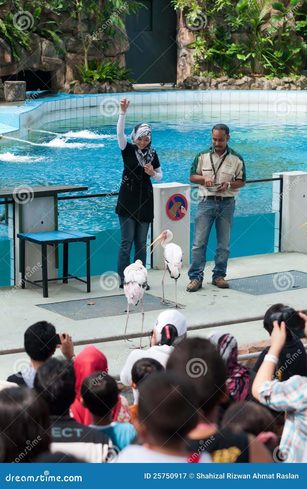 Animal Show editorial photography. Image of show, trainer - 25750917