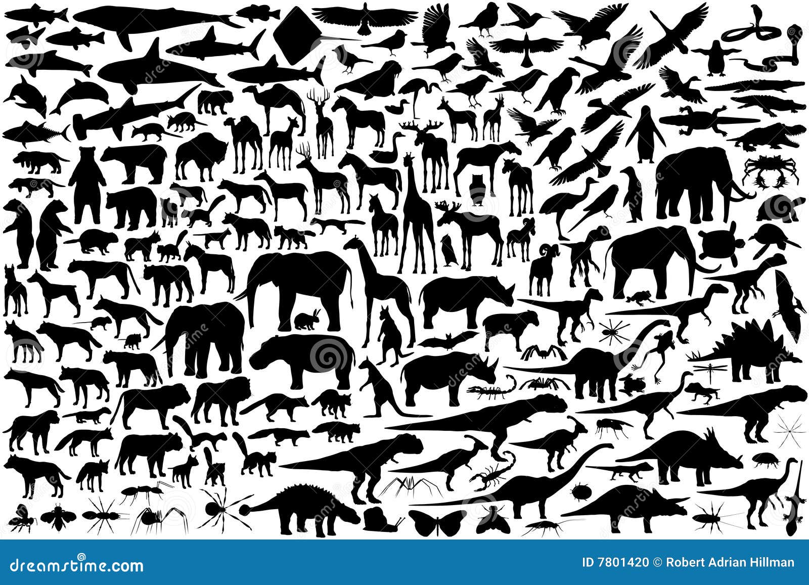 Animal silhouettes stock vector. Illustration of creature - 7801420