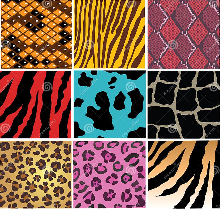Animal skin stock vector. Illustration of detail, clipart - 18518419