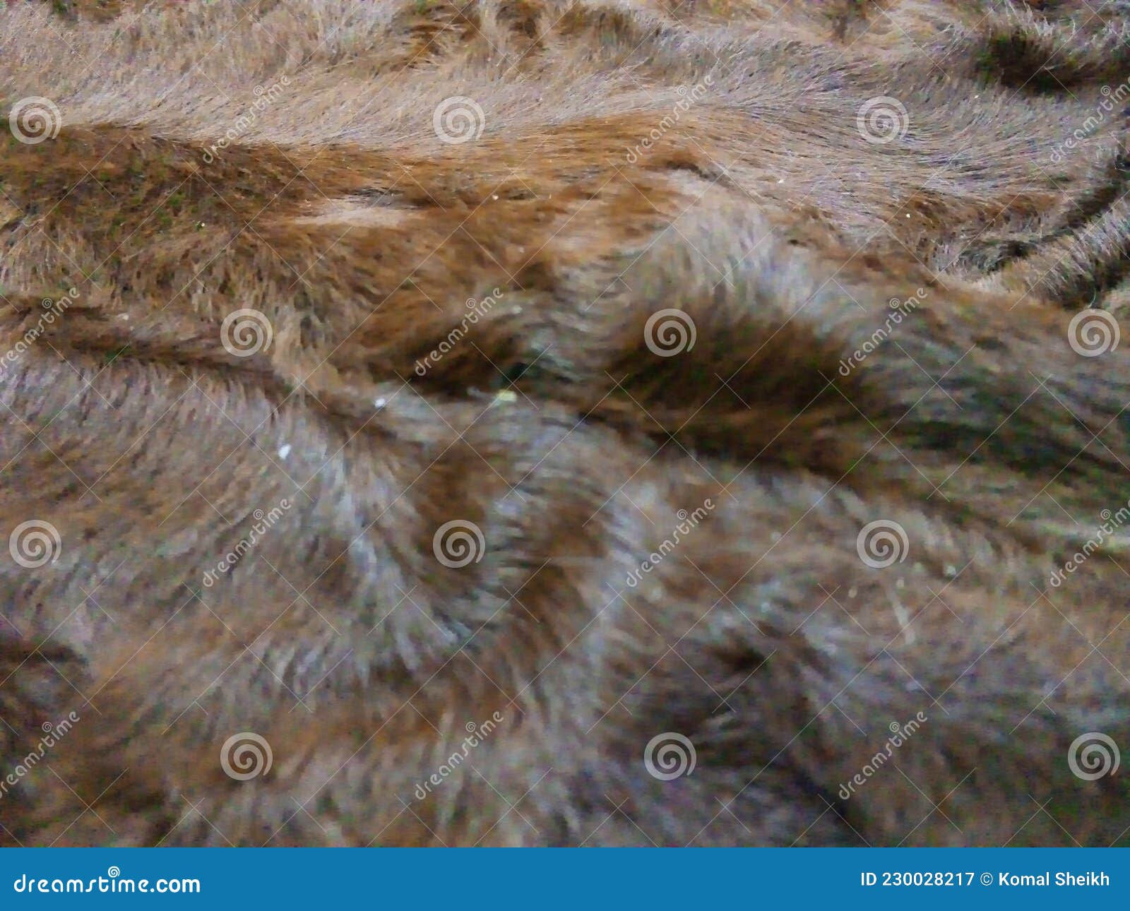 Animal Skin Texture Closeup of Hairs Background Stock Image - Image of ...