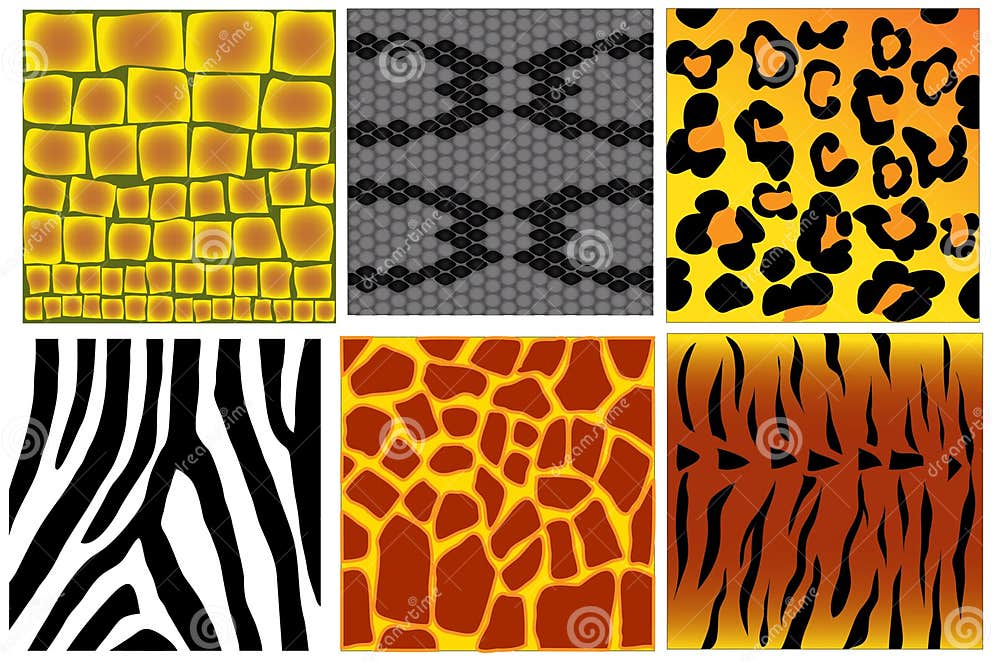 Animal skin textures stock vector. Illustration of crocodile - 28521445