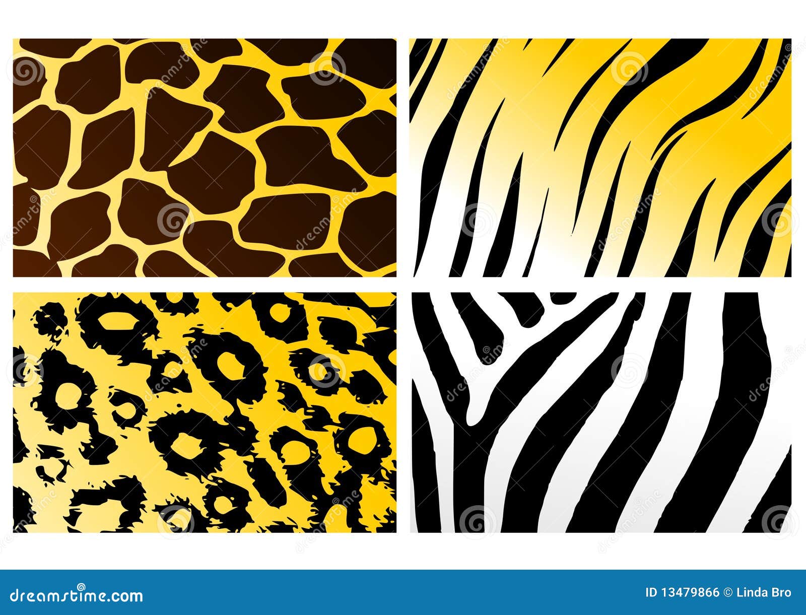 Animal skins stock vector. Illustration of white, jaguar - 13479866