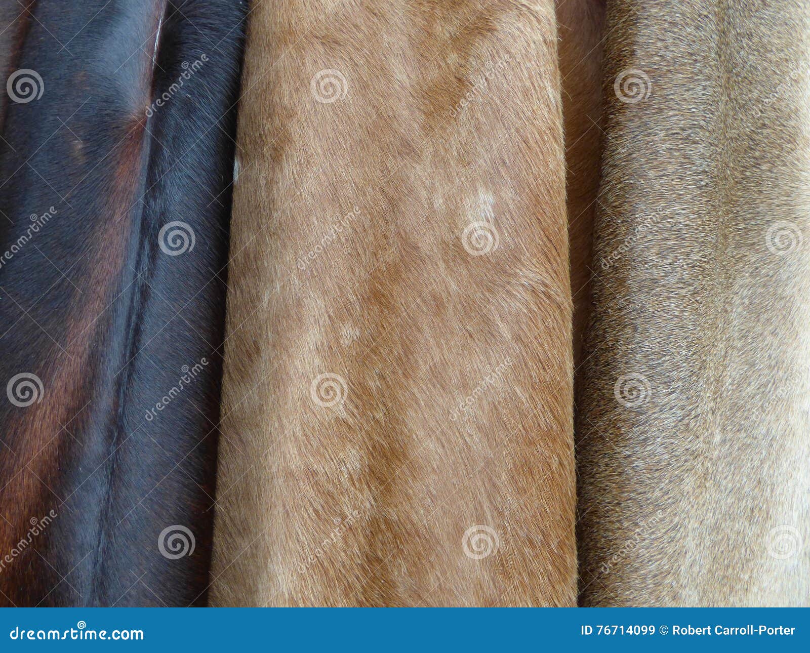 Animal skins stock image. Image of shades, skins, animal - 76714099