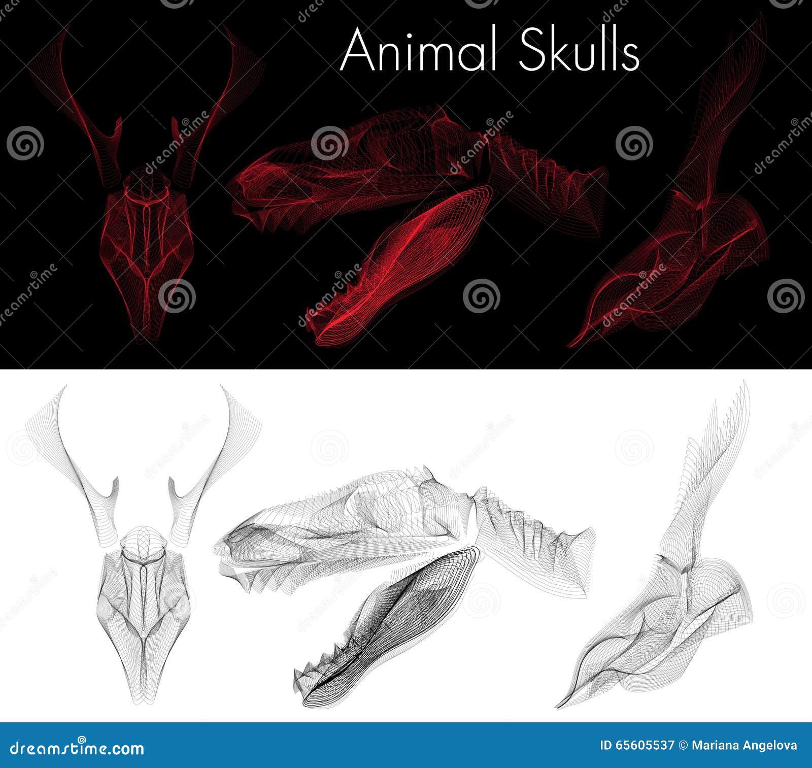Animal Skulls stock vector. Illustration of simple, pack - 65605537