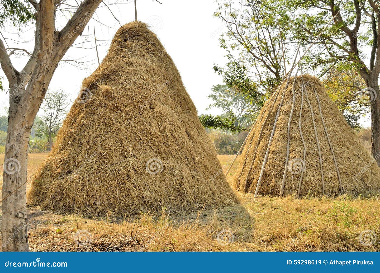 Animal straw stack stock image. Image of farm, industry - 59298619