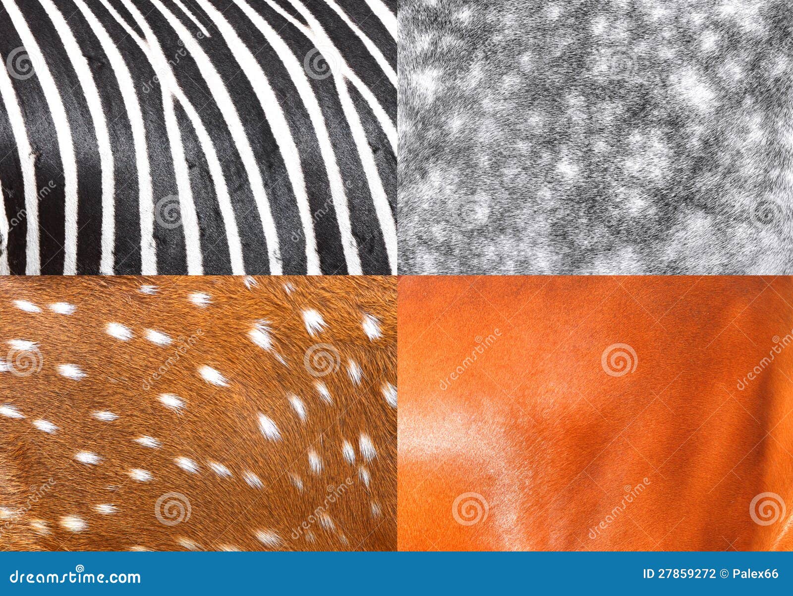 Animal textures stock photo. Image of black, farming - 27859272