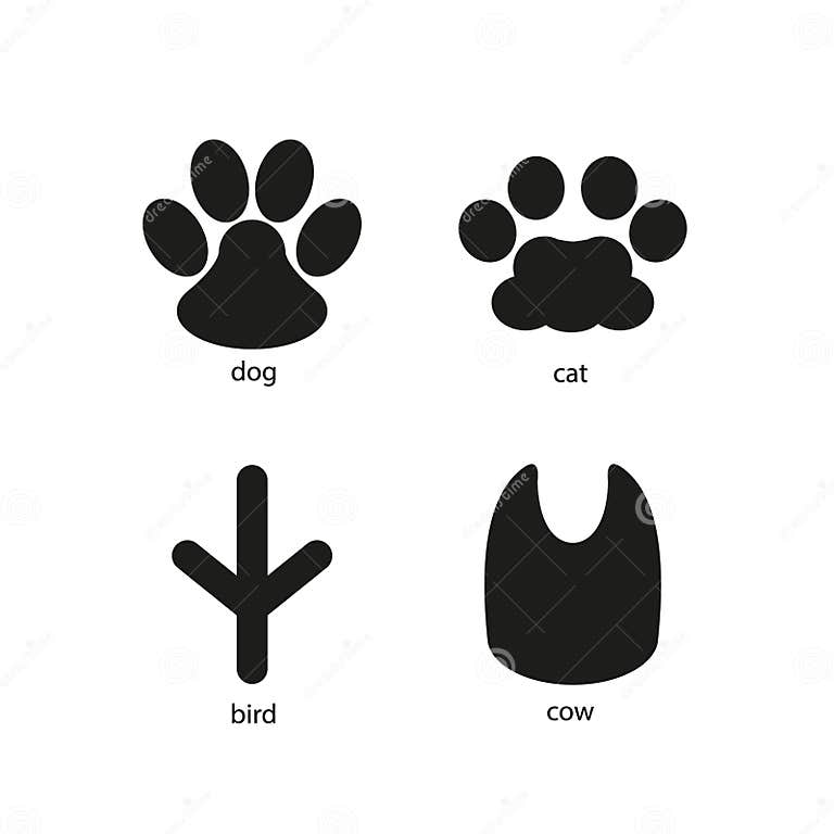 Animal Tracks. Simple Vector Illustration Stock Vector - Illustration ...
