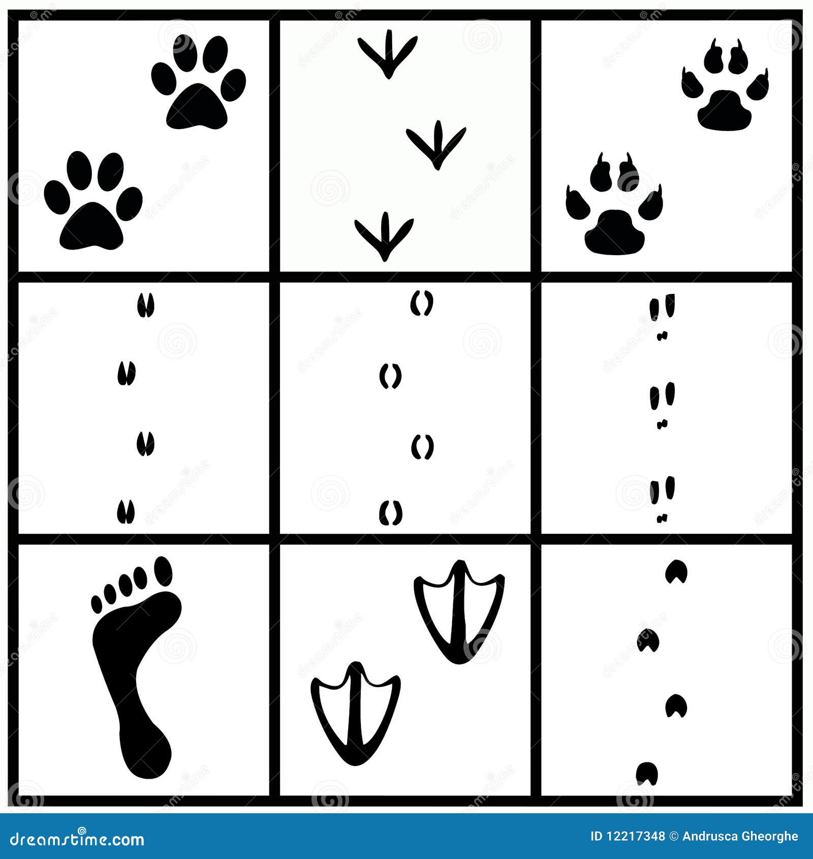 Animal trails stock illustration. Illustration of illustrations - 12217348