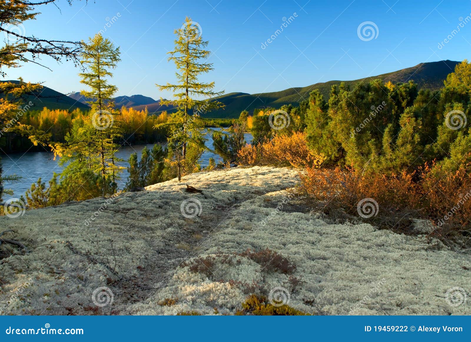 Animal trails stock photo. Image of animal, landscape - 19459222