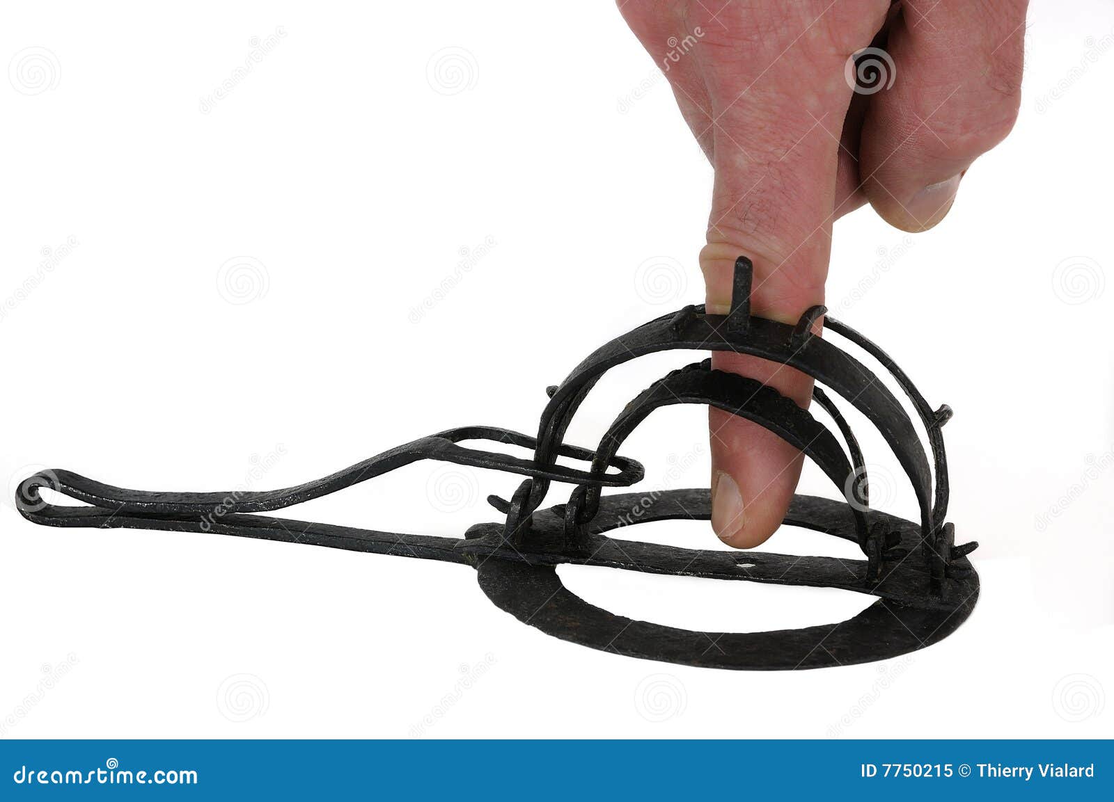 Animal trap stock image. Image of trapped, trap, hunting - 7750215
