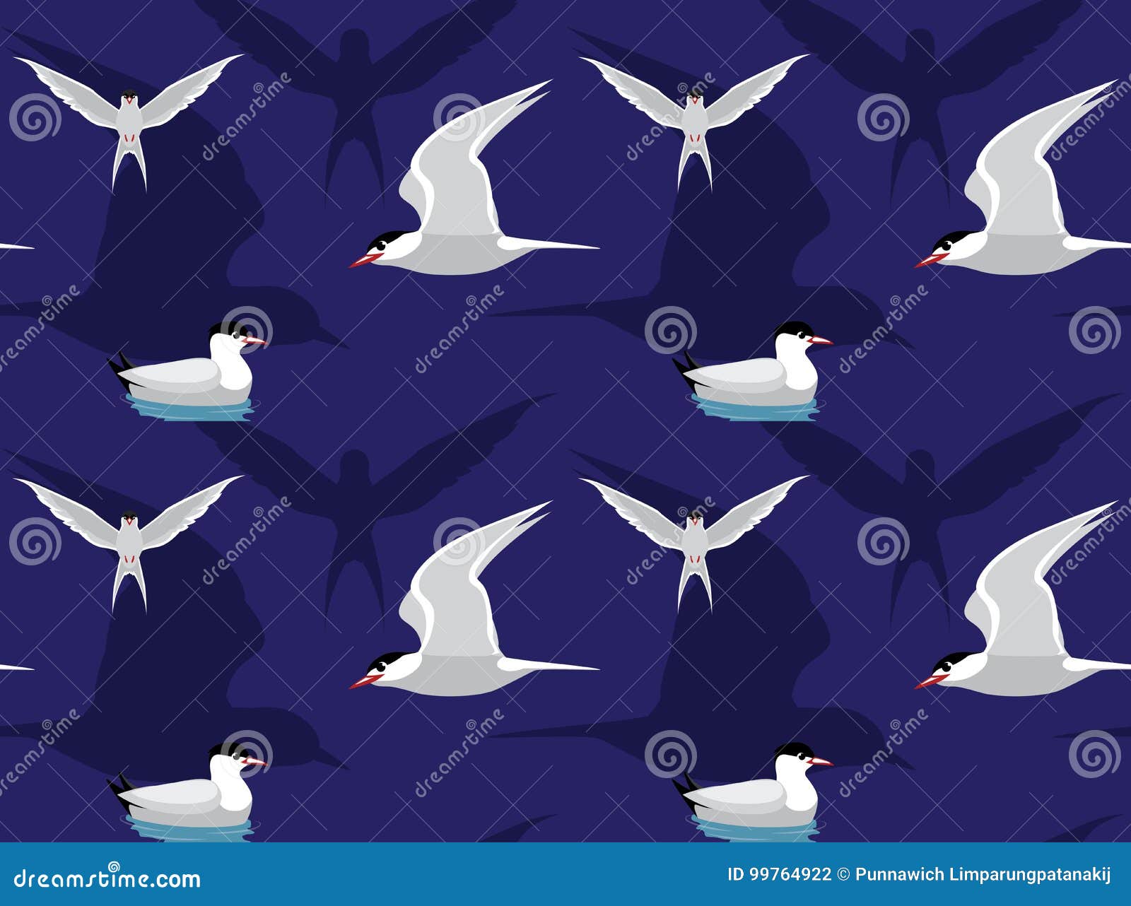 Bird Tern With Name. Vector Drawing Line Silhouette Image ...