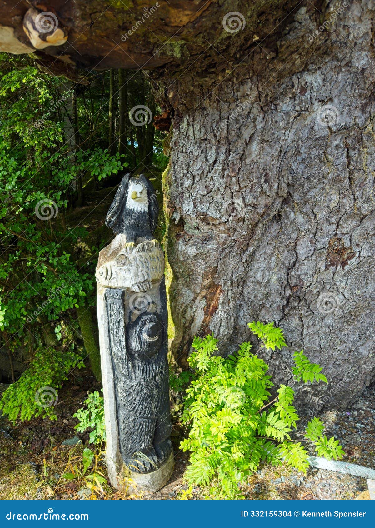 A Large Tree Fallen Across A Road Royalty-Free Stock Image ... A Large Tree Fallen Across A Road Royalty-Free Stock Image ...
