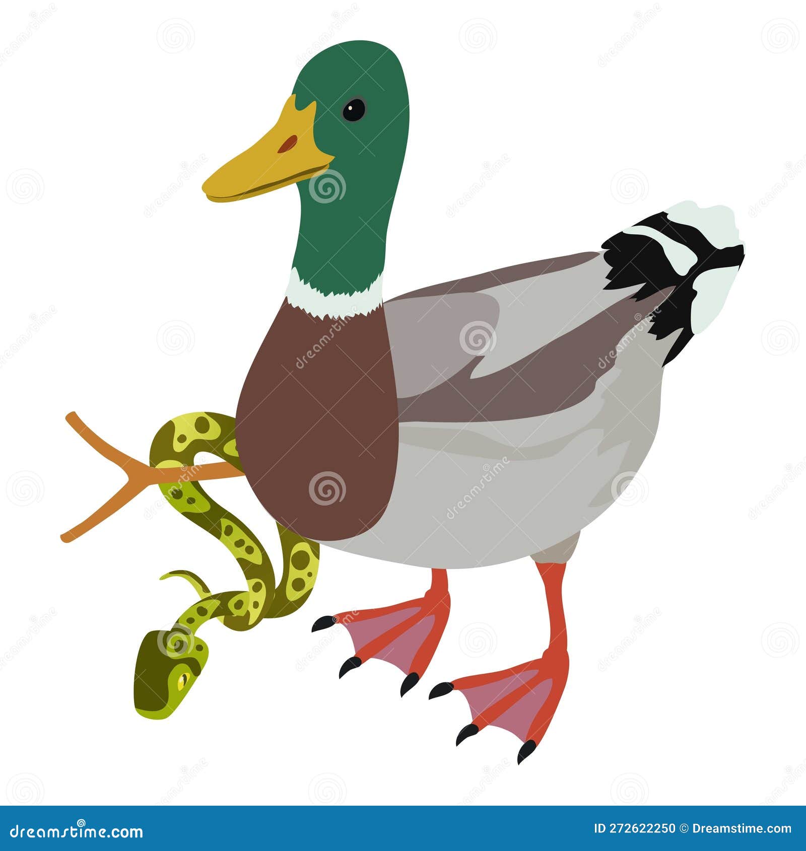 Animal World Icon Isometric Vector. Colorful Wild Duck Drake Near Tree ...