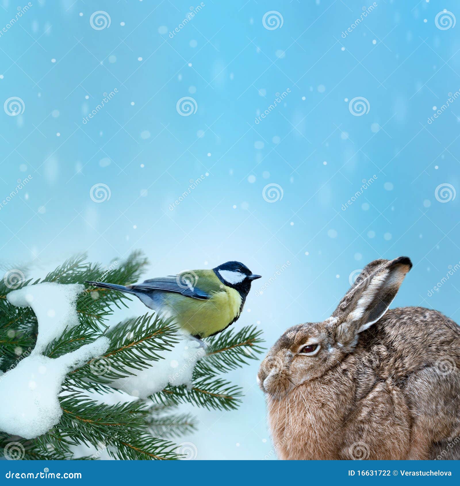 Animales en invierno foto de archivo. Imagen de escamas - 16631722