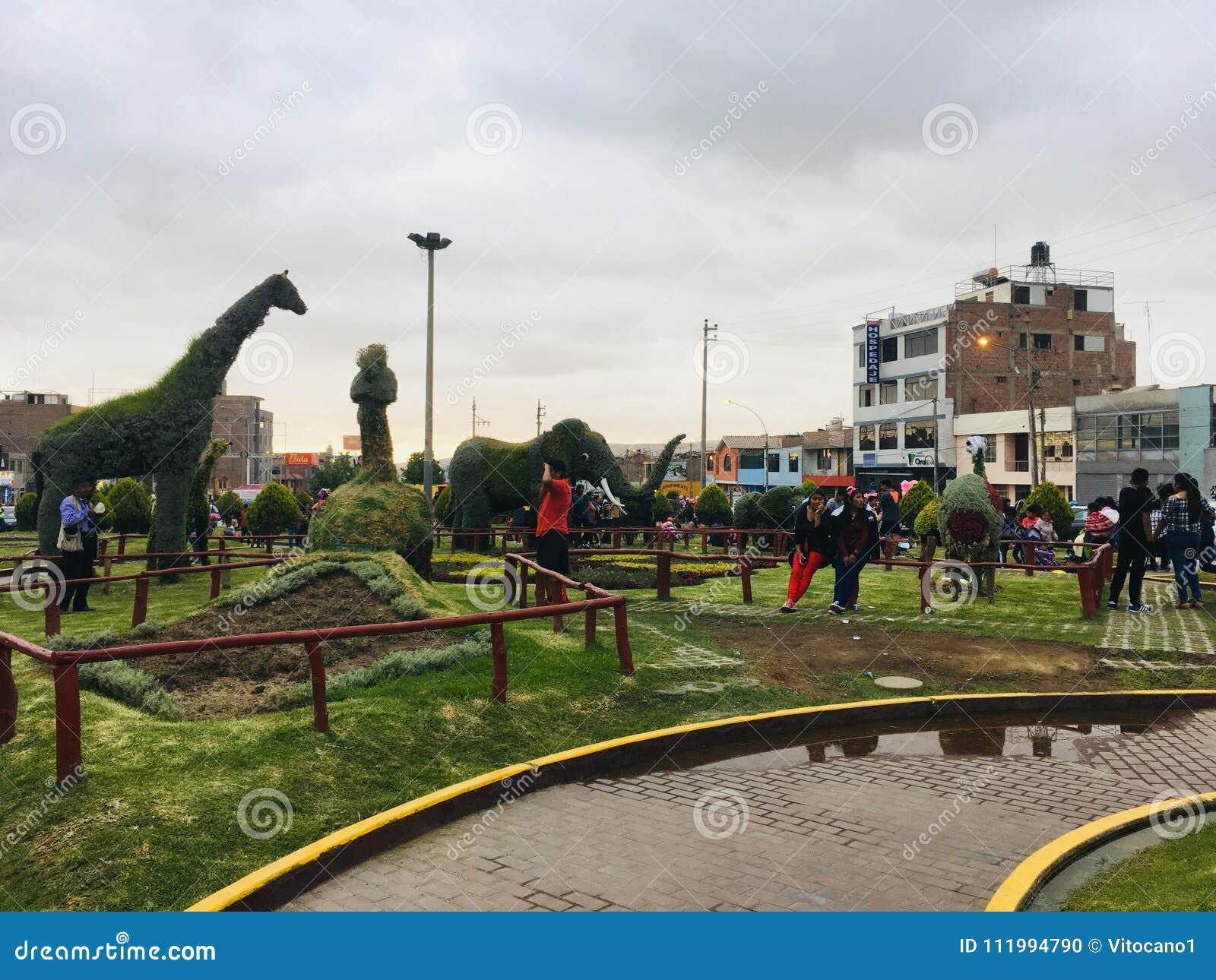 Animales Hermosos En Un Parque En Tacna Imagen editorial - Imagen de ...