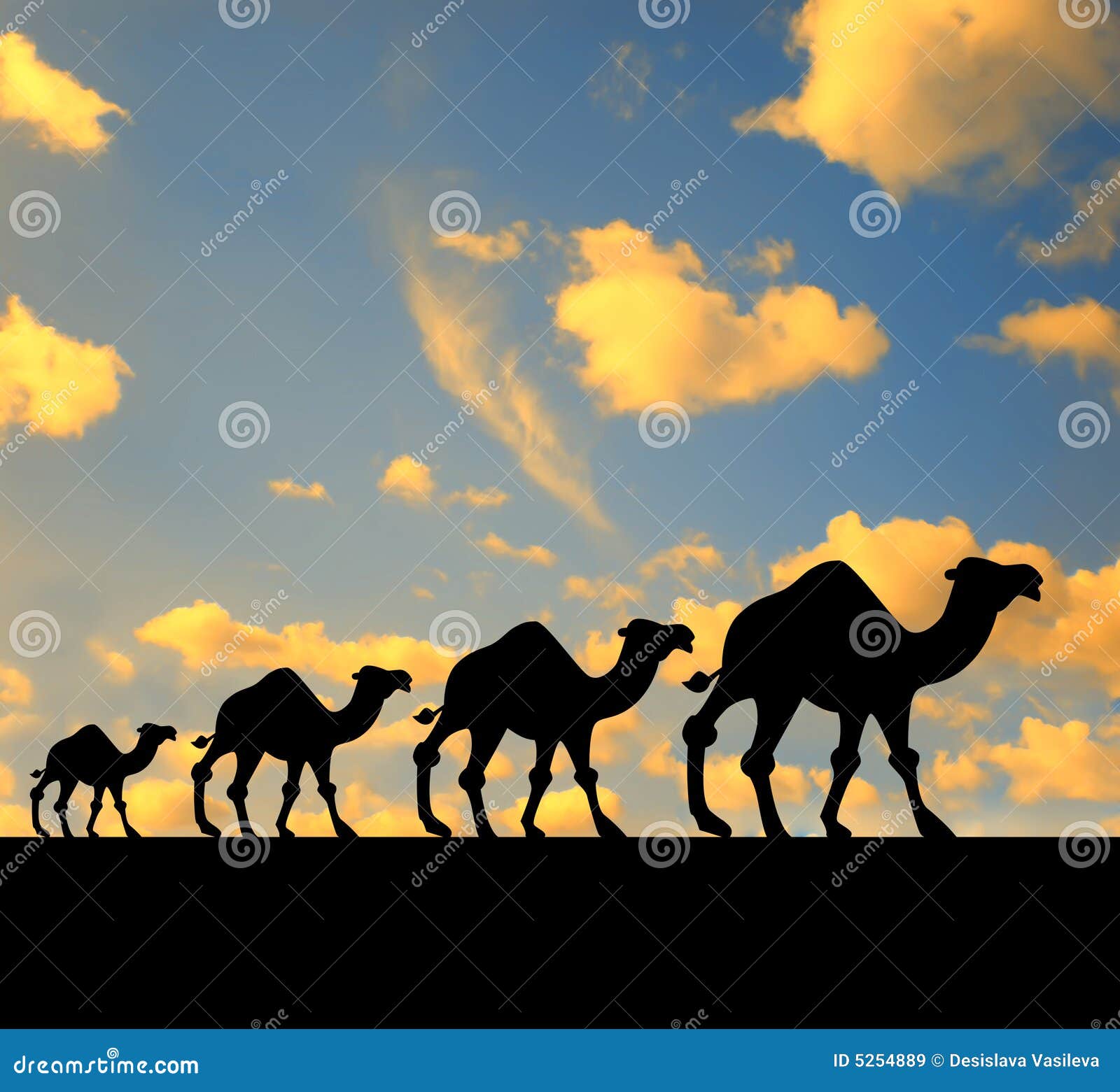 Animales Que Caminan Imagen. Imagen: 5254889