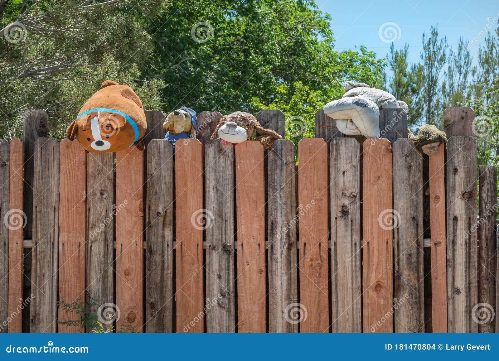 Animales Rellenos Asomando La Cerca Foto de archivo - Imagen de ...