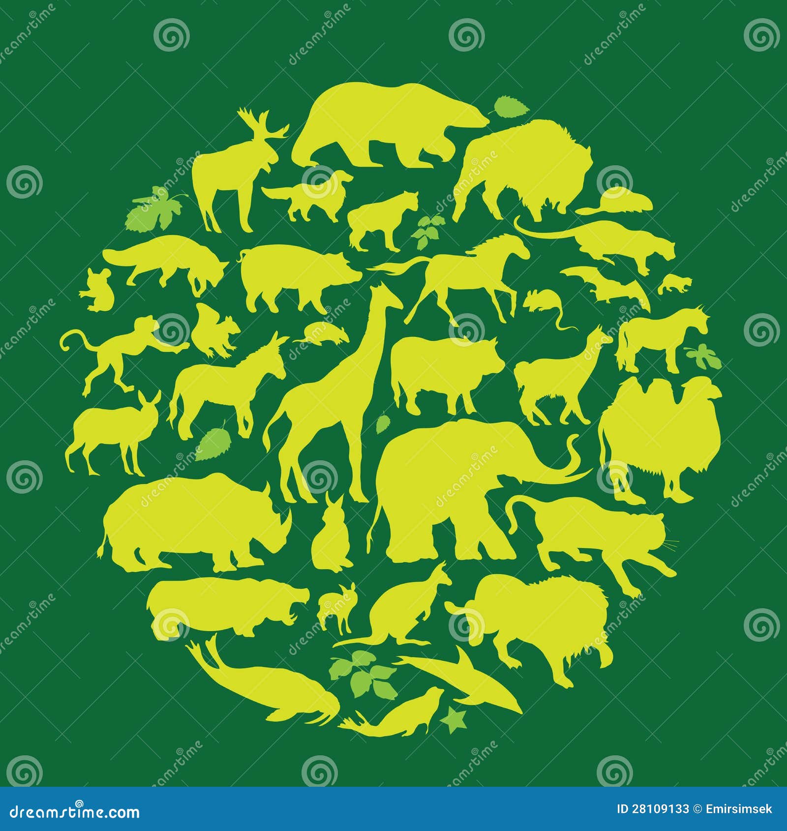 Kangaroo In Madagascar: A Charming Cartoon Mis-en-scene | CartoonDealer ...