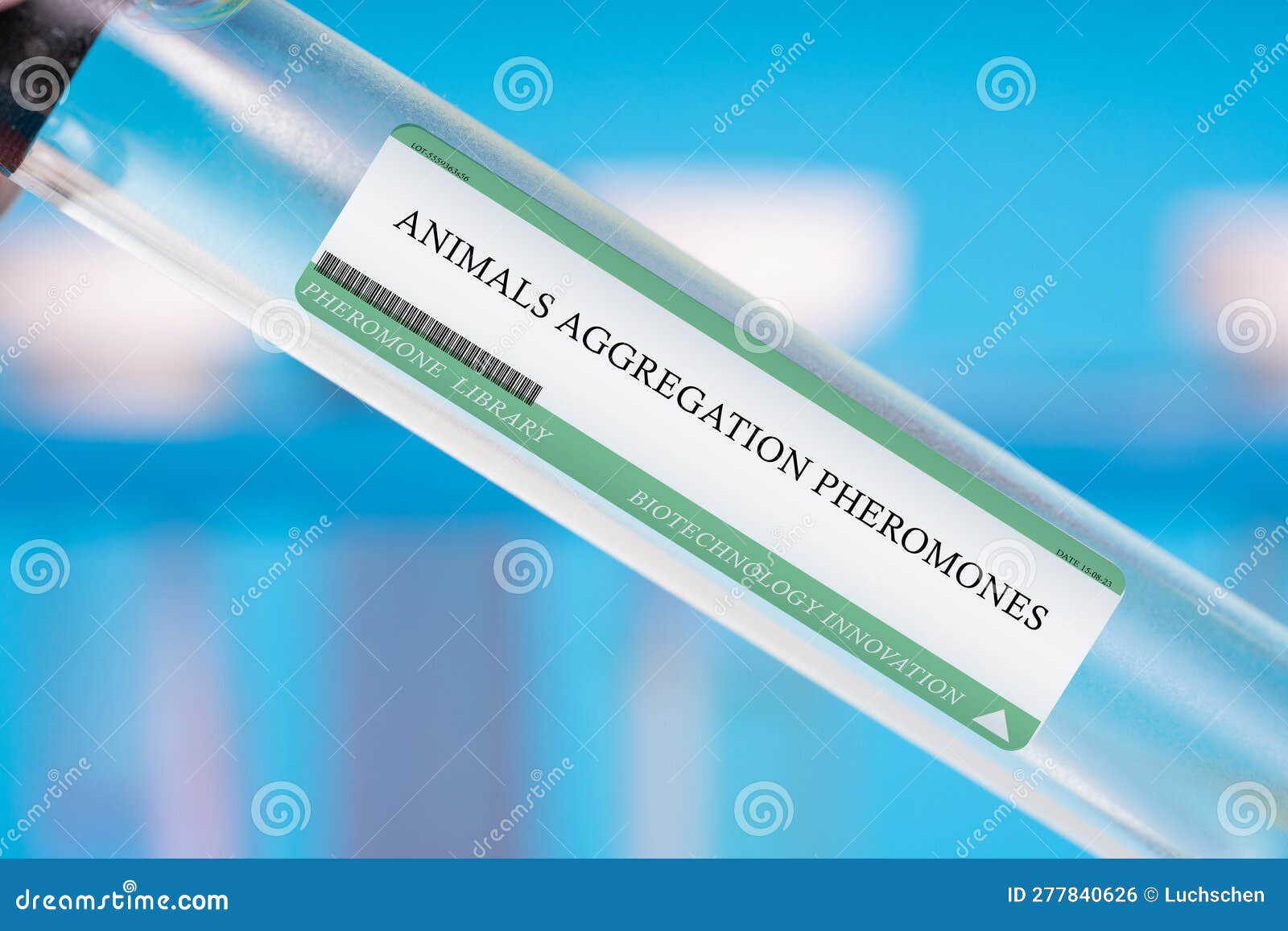 Animals Aggregation Pheromones Stock Photo - Image of trap, groups ...