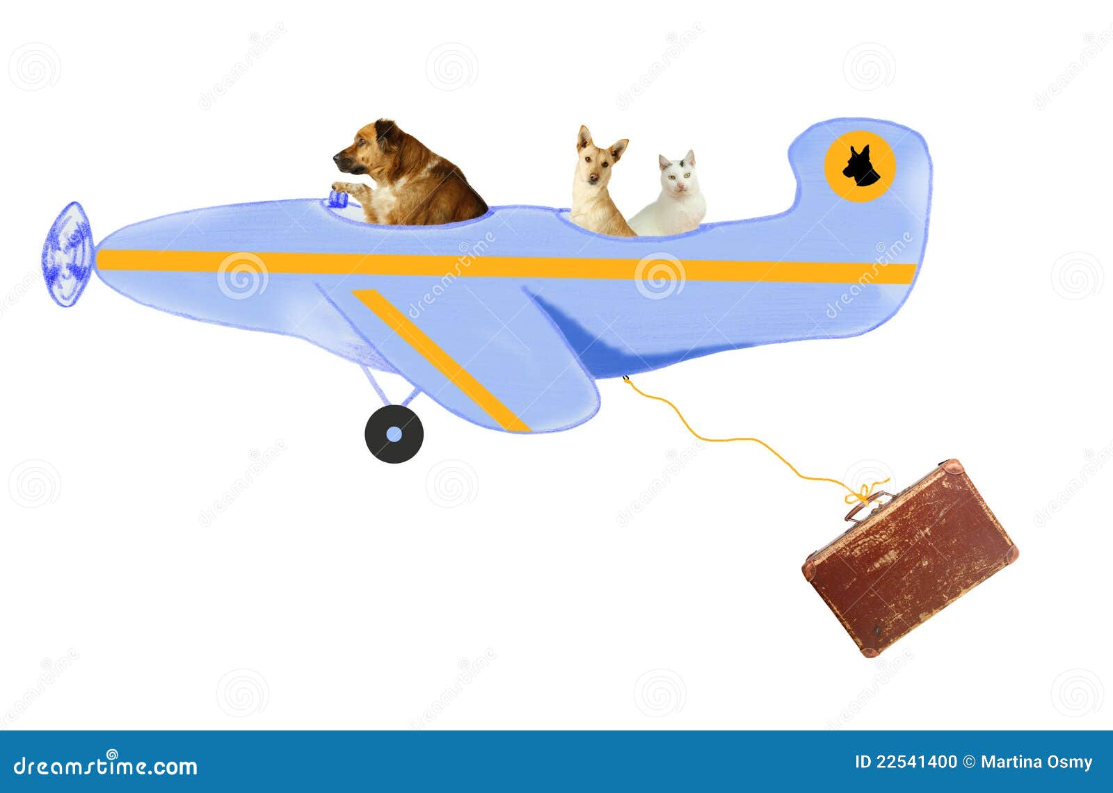 Animals on air travel stock photo. Image of airplane - 22541400