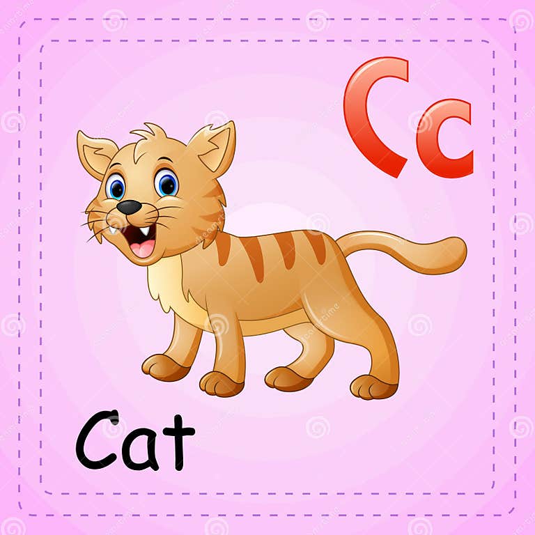Animals Alphabet: C is for Cat Stock Vector - Illustration of kitty ...