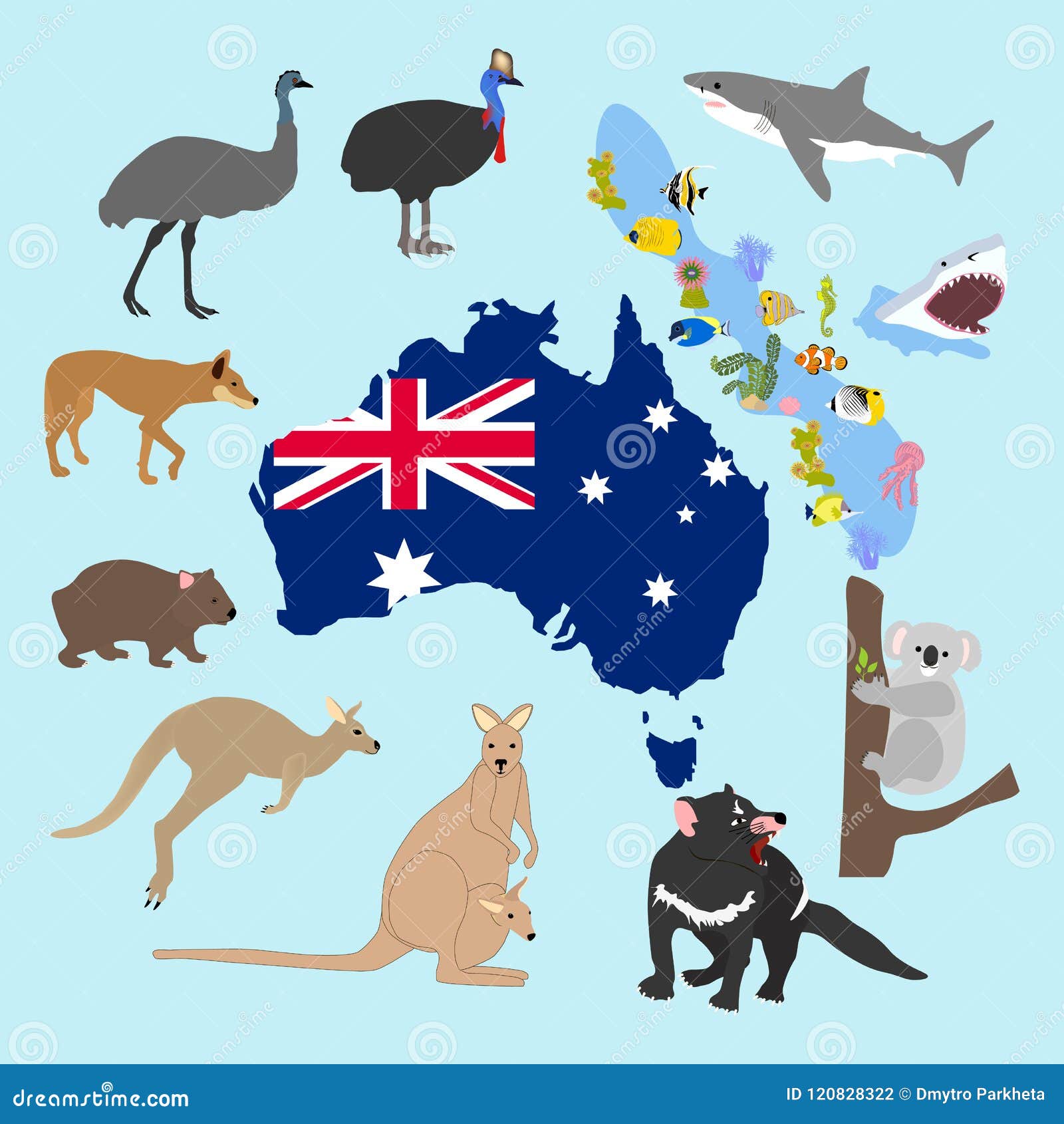 Animals of Australia stock vector. Illustration of koala - 120828322