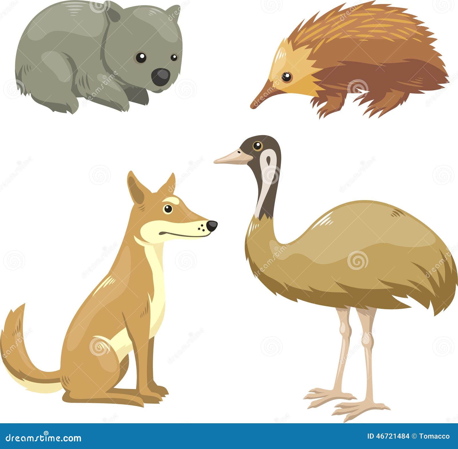 Animals australia 2 stock illustration. Illustration of porcupine ...