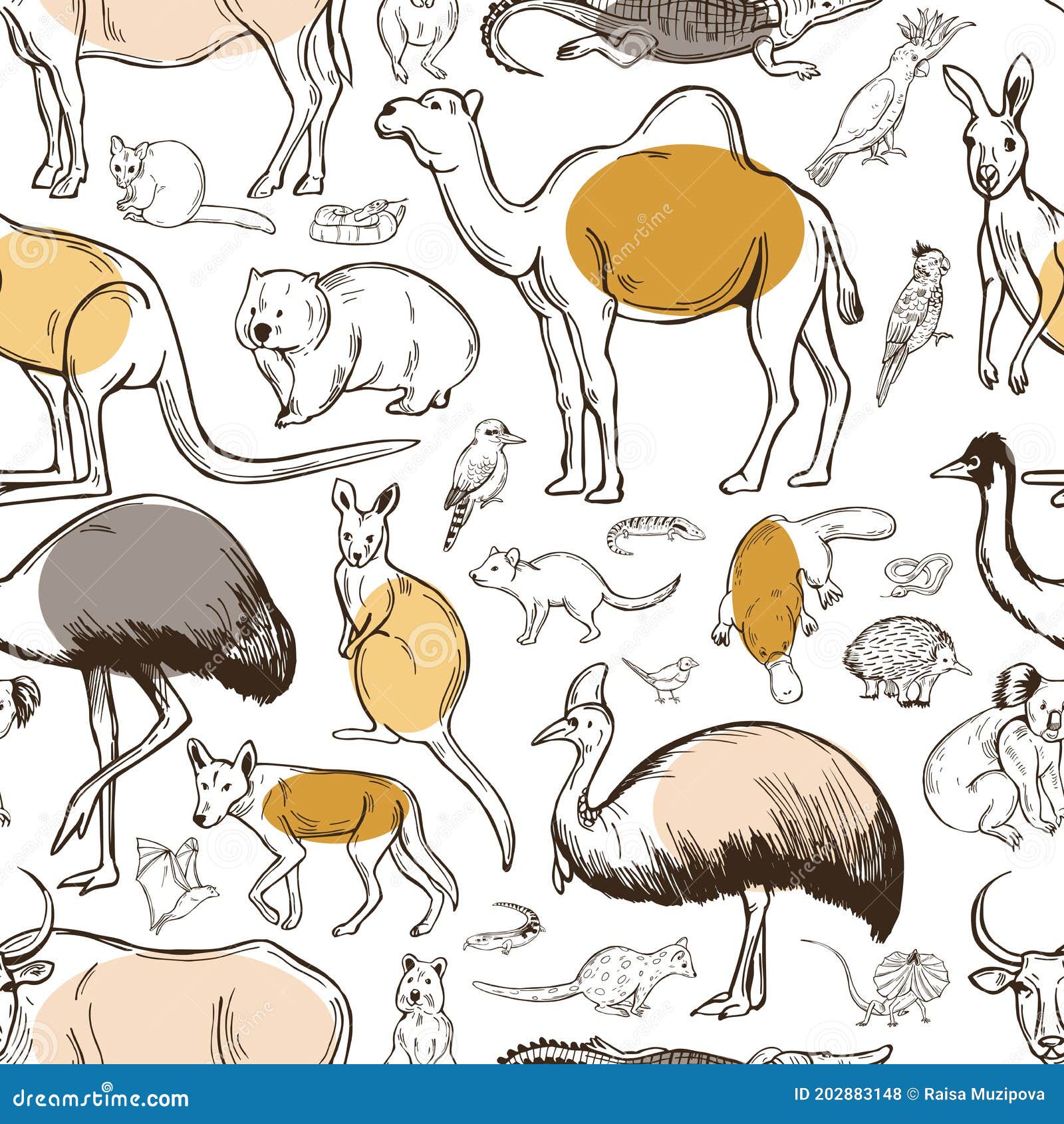 Animals and Birds of Australia Stock Vector - Illustration of reptiles ...