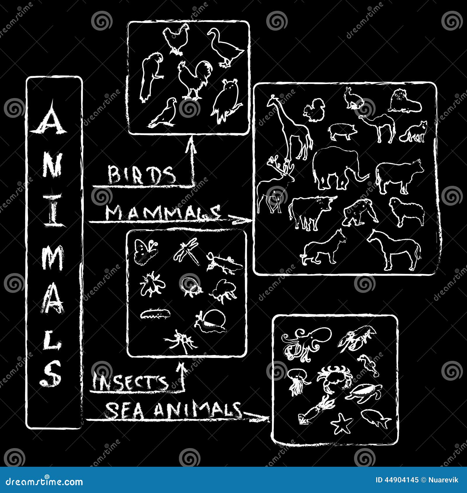 Animals Chalk Infographic Stock Photography | CartoonDealer.com #44904134